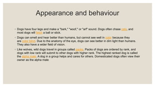 Information about dogs | PPTX