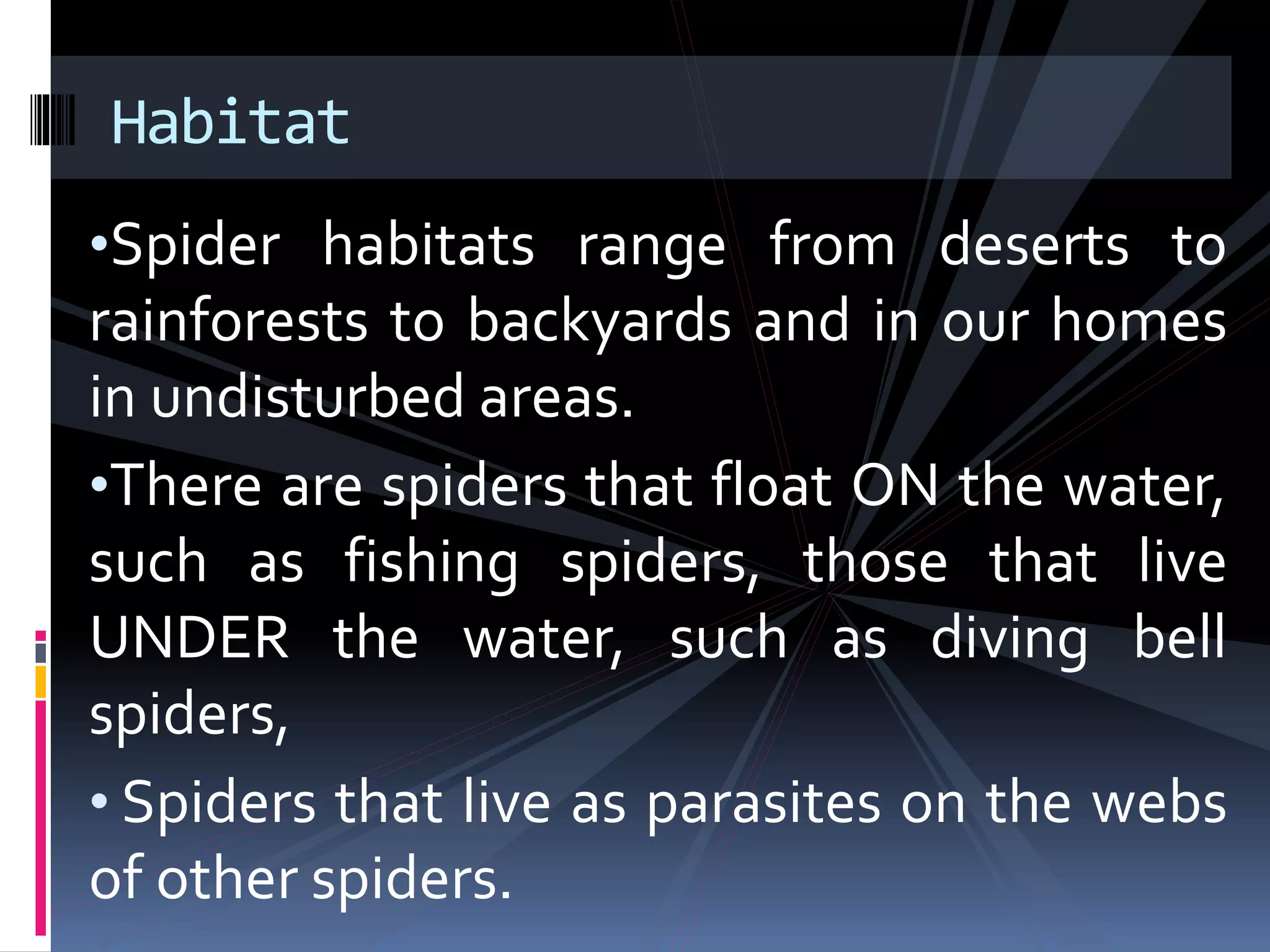 INFORMATION ABOUT SPIDERS.pptx