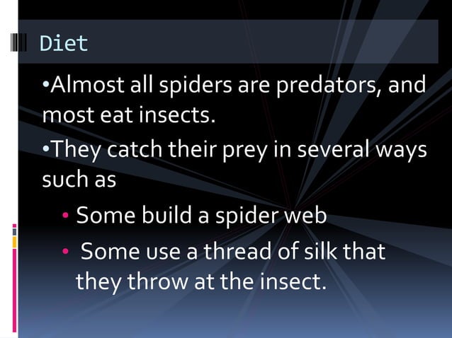 INFORMATION ABOUT SPIDERS.pptx