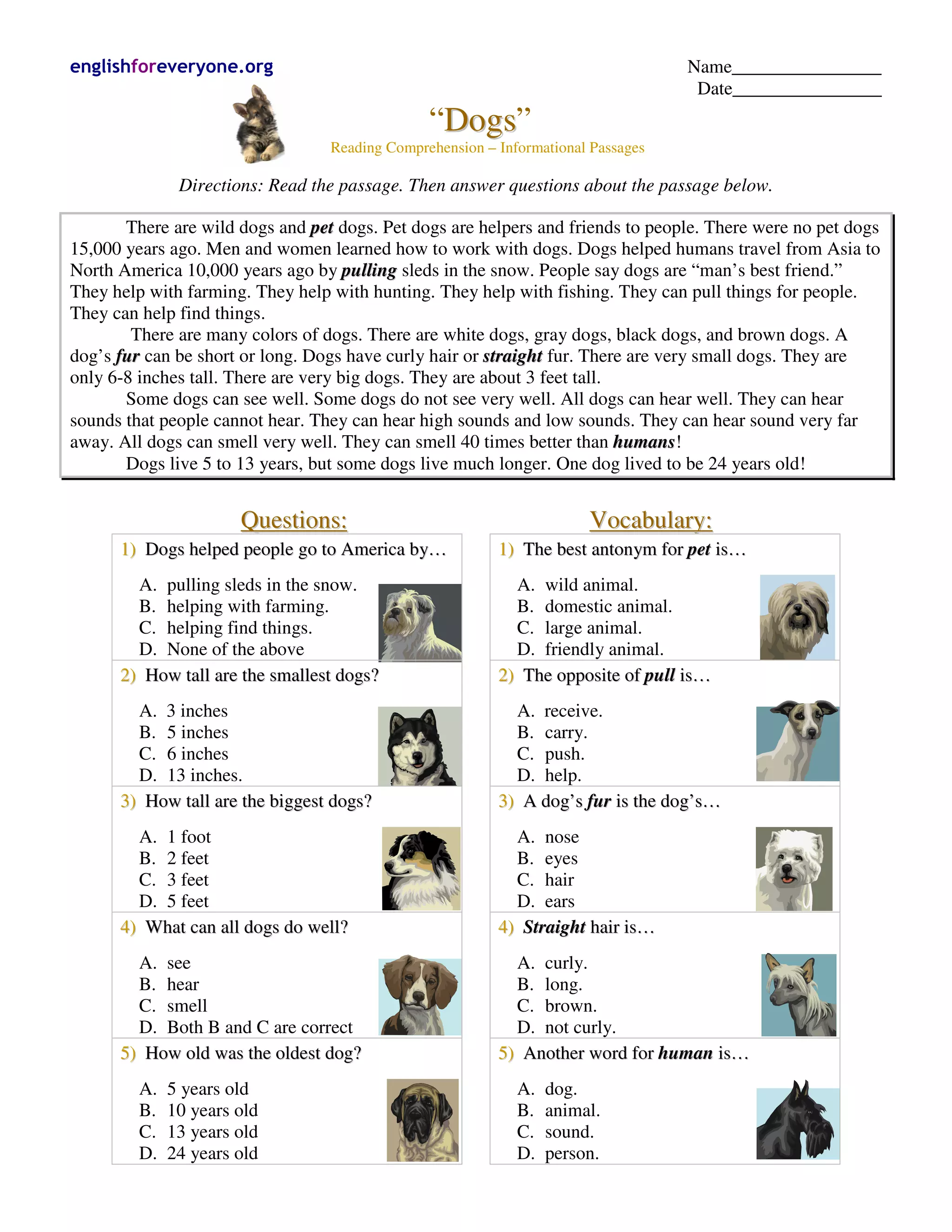 Informational passages rc dogs | PDF