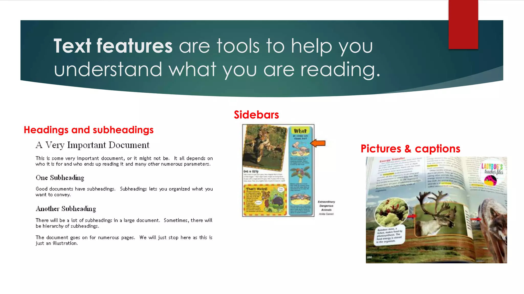 Informational text | PPTX