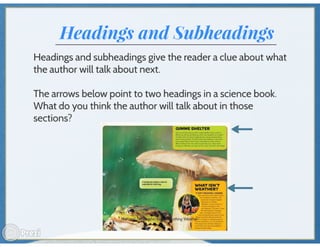 Informational text features | PDF