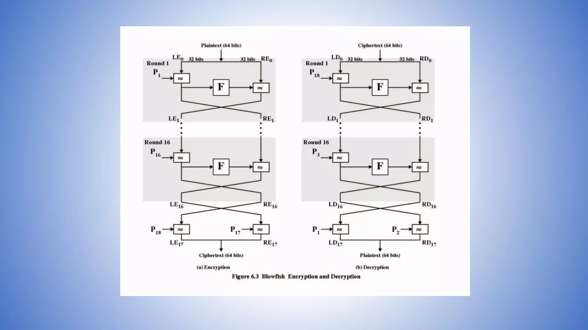 Information and network security 28 blowfish | PPTX