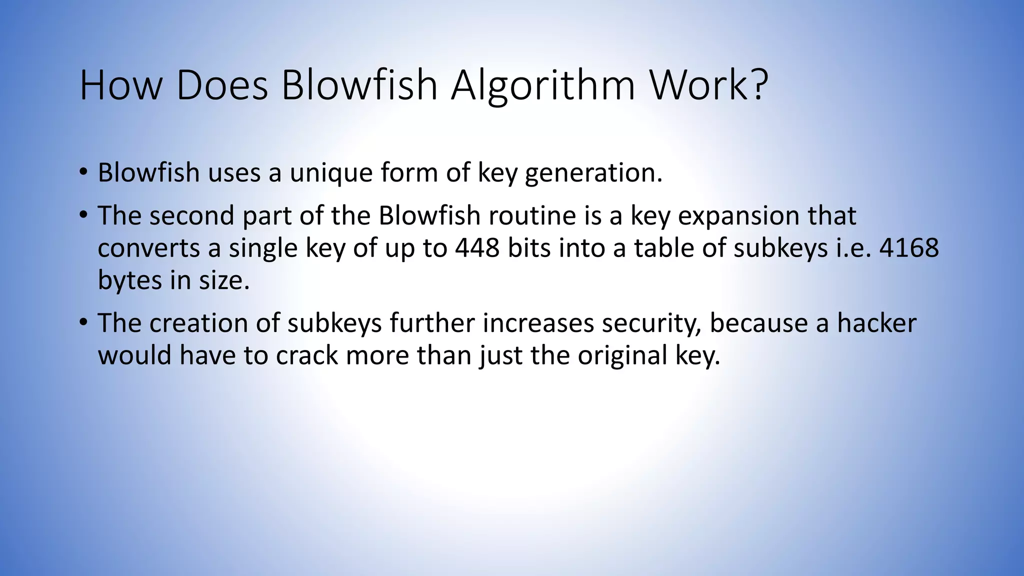 Information and network security 28 blowfish | PPTX
