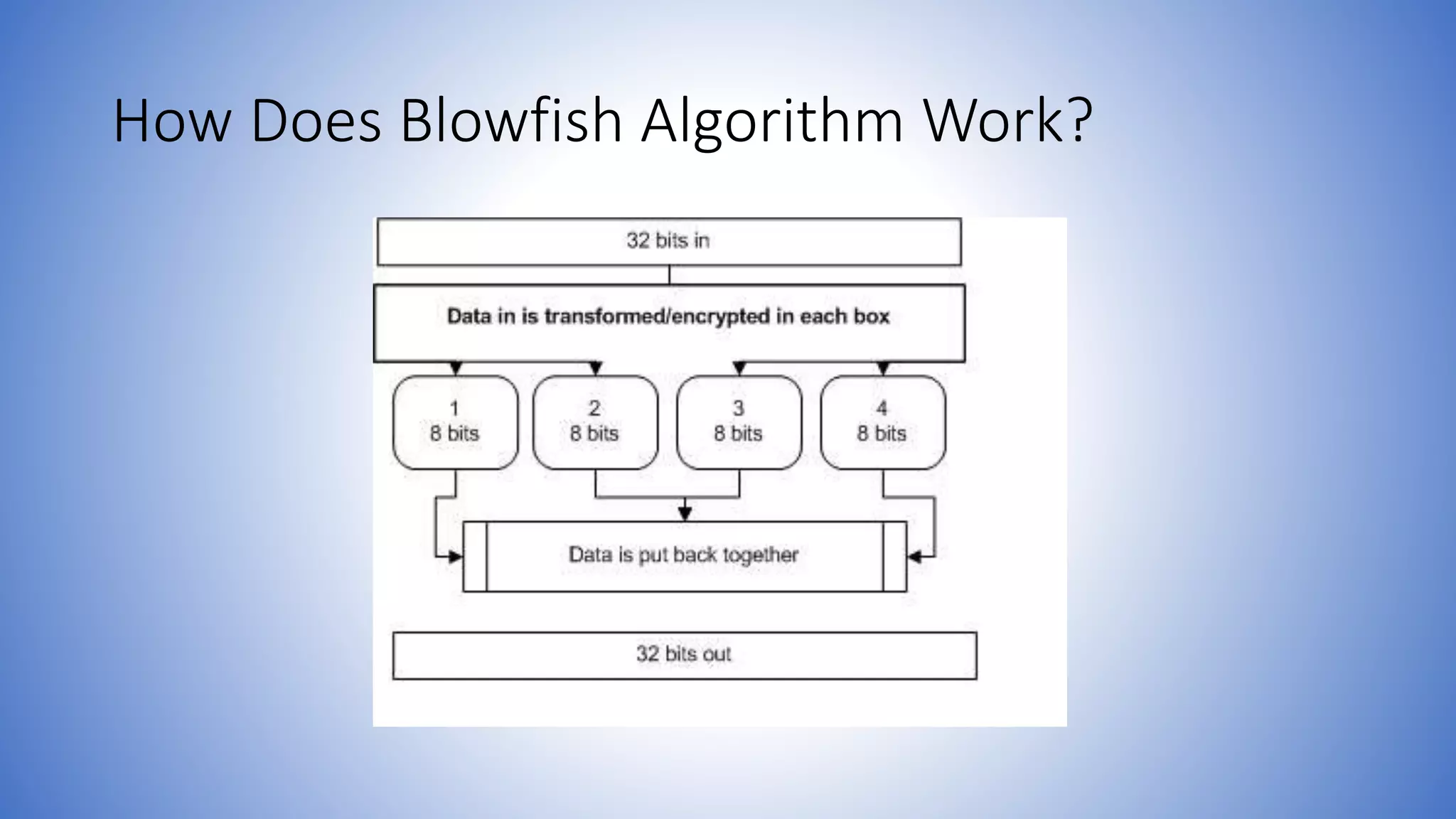 Information and network security 28 blowfish | PPTX
