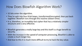 Information and network security 28 blowfish | PPTX