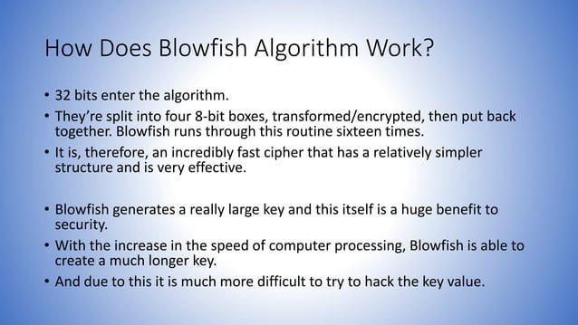 Information and network security 28 blowfish | PPTX