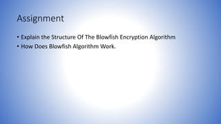 Information and network security 28 blowfish | PPTX