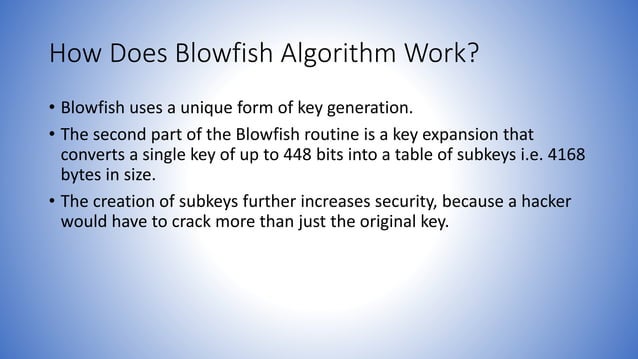Information and network security 28 blowfish | PPTX