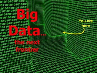 Challenges facing Information and Records Management Professionals | PPTX