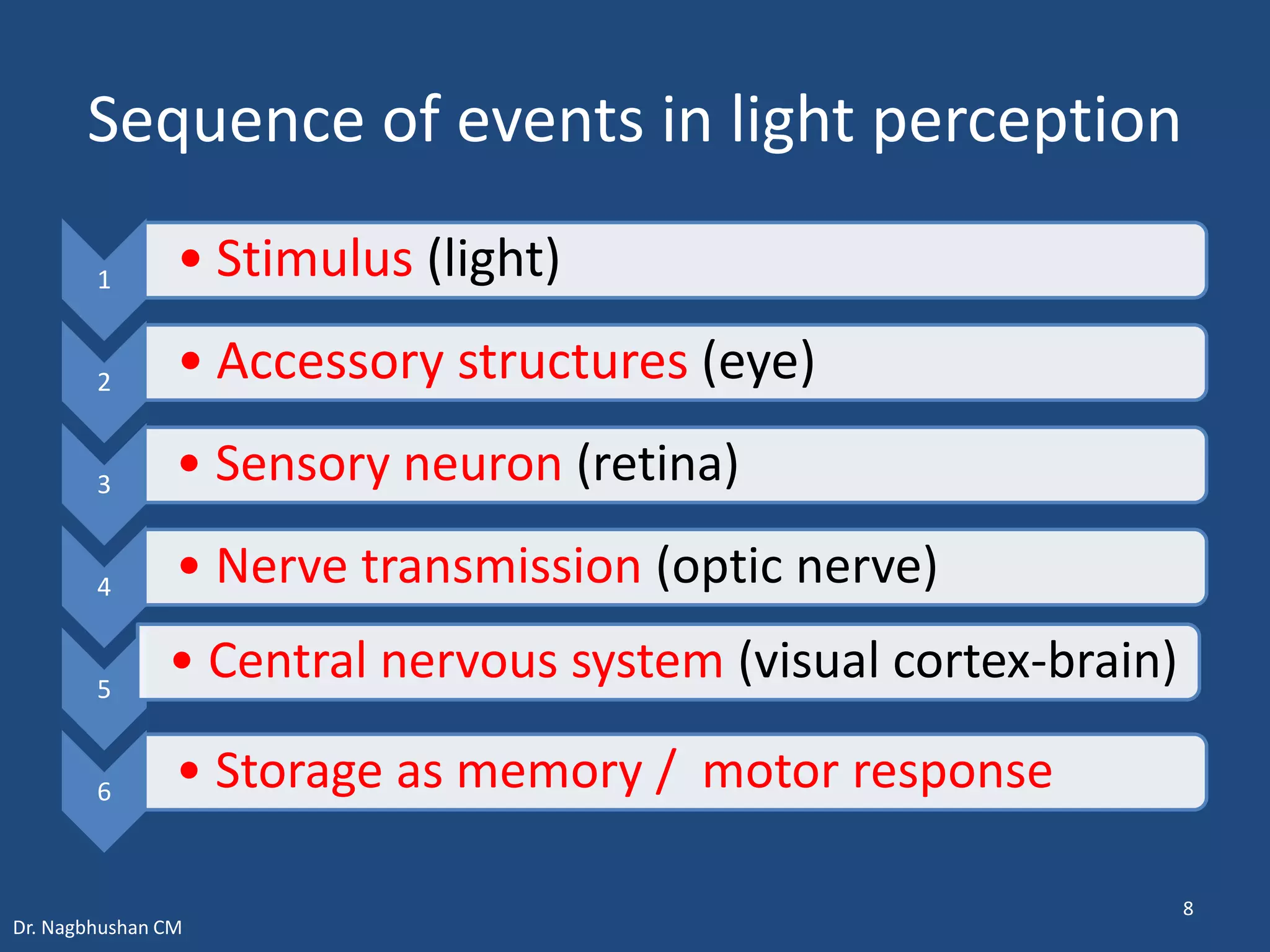 Information and senses (animal physiology) | PPTX
