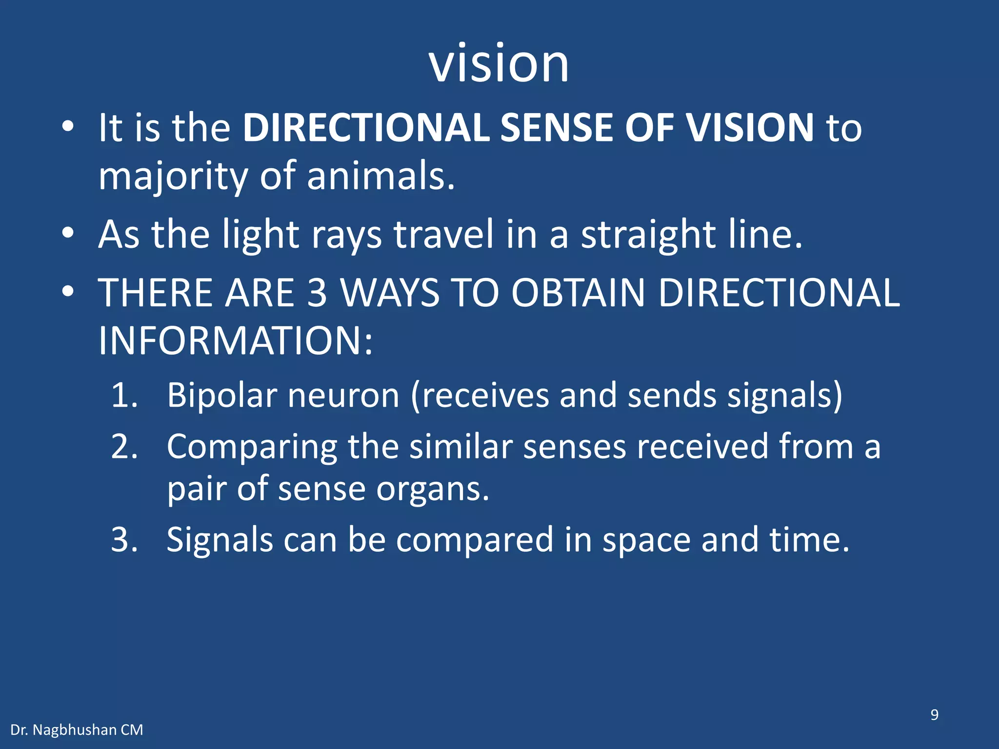 Information and senses (animal physiology) | PPTX