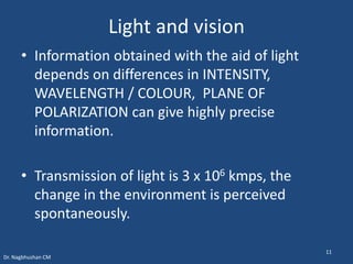 Information and senses (animal physiology) | PPTX