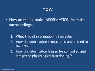 Information and senses (animal physiology) | PPTX