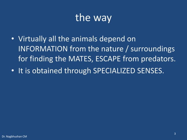 Information and senses (animal physiology) | PPTX