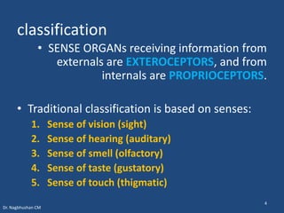 Information and senses (animal physiology) | PPTX