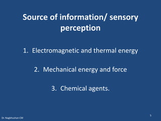 Information and senses (animal physiology) | PPTX