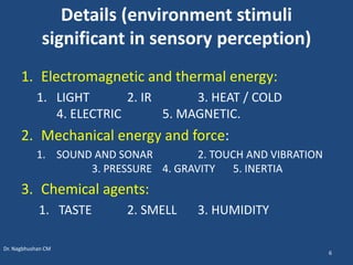 Information and senses (animal physiology) | PPTX