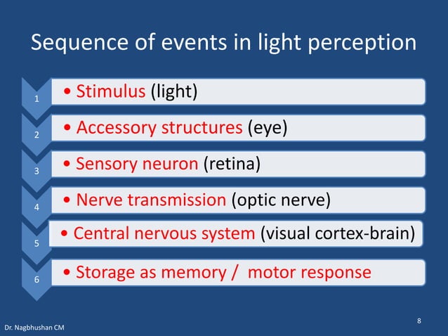 Information and senses (animal physiology) | PPTX