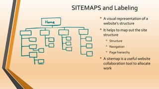 Information Architecture and Navigation Planning for Websites | PDF