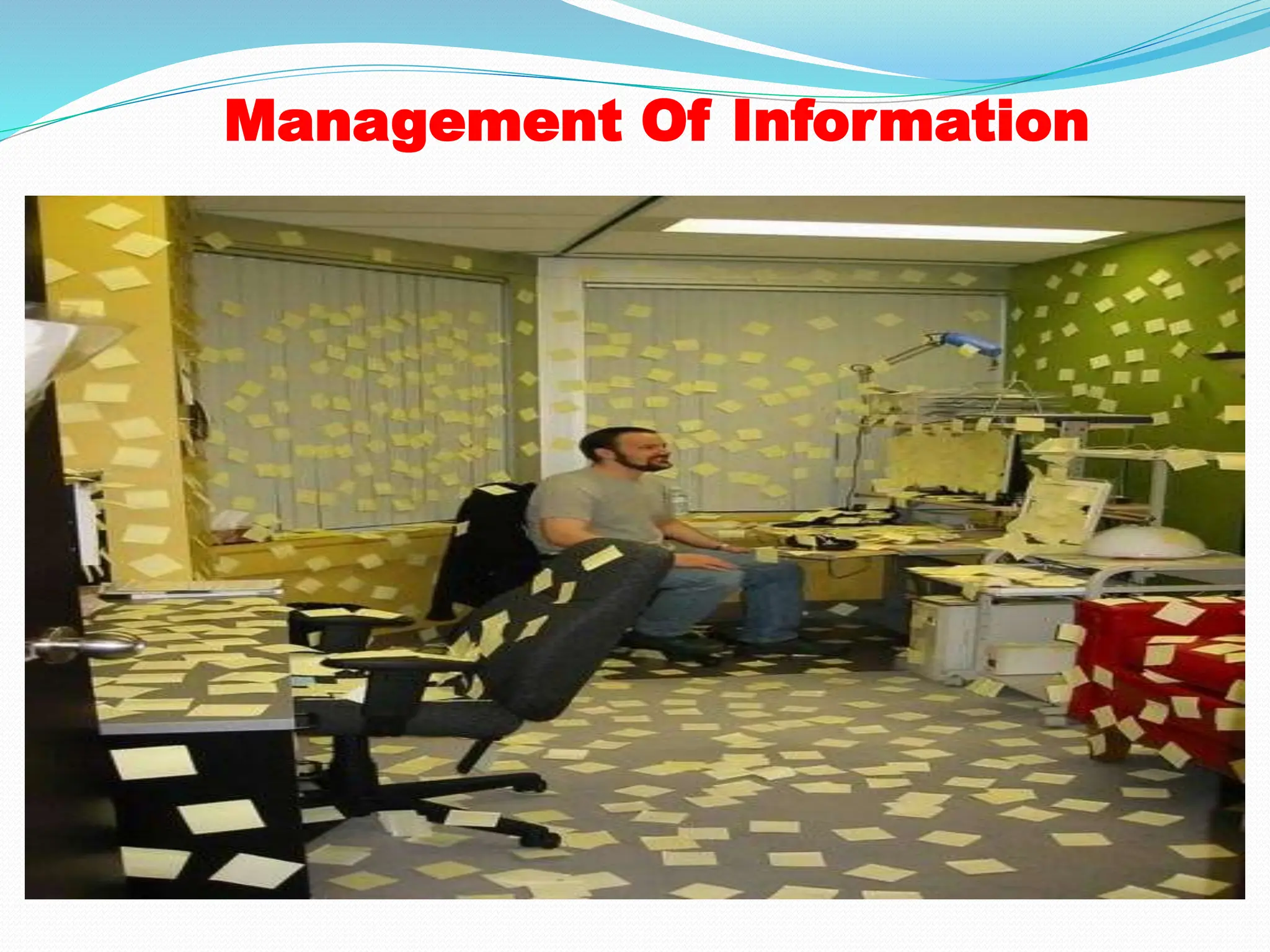 information management.pdf