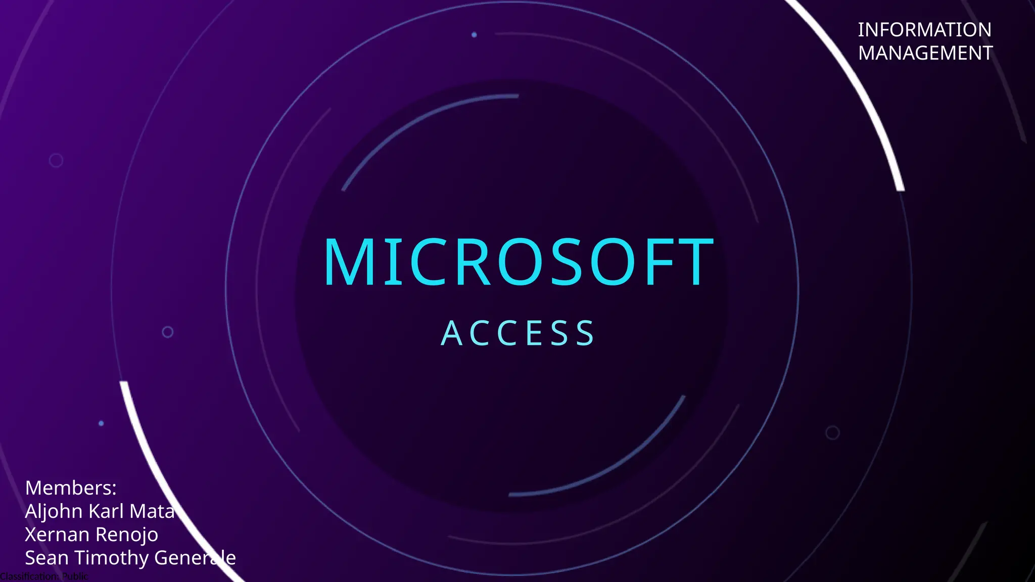 Information management reportingsss.pptx