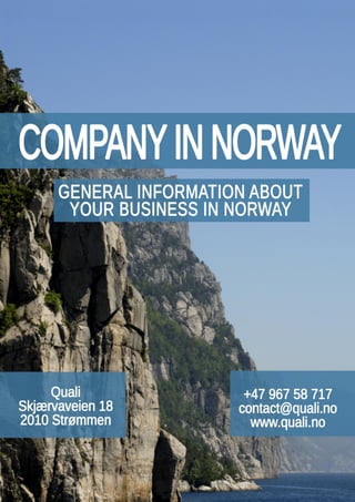 Information on starting a business in Norway | PDF