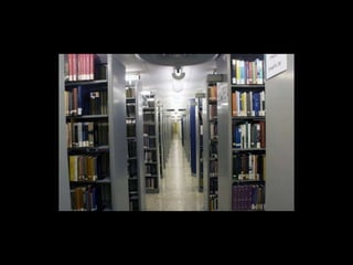 Information Overload | PPTX