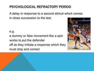 Information Processing | PPTX | Soccer | Sports