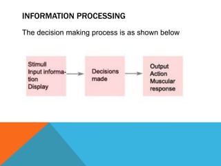 Information Processing | PPTX | Soccer | Sports