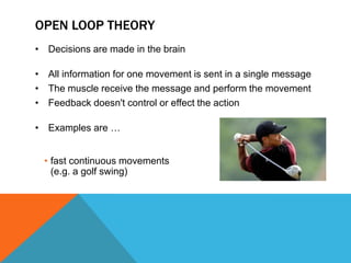 Information Processing | PPTX | Soccer | Sports