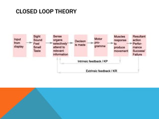 Information Processing | PPT