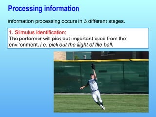 Information processing. l2 | PPT