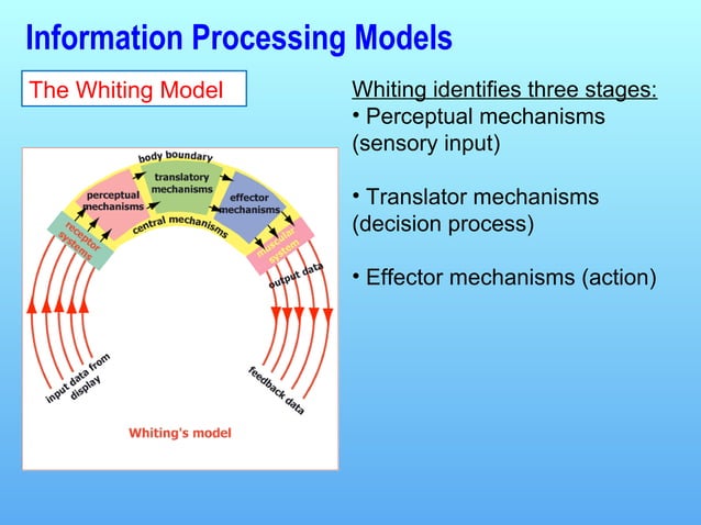 Information processing. l2 | PPT