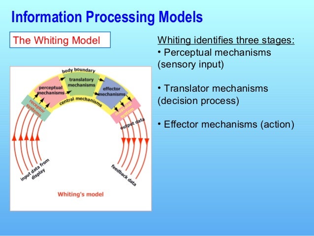 Information processing. l2