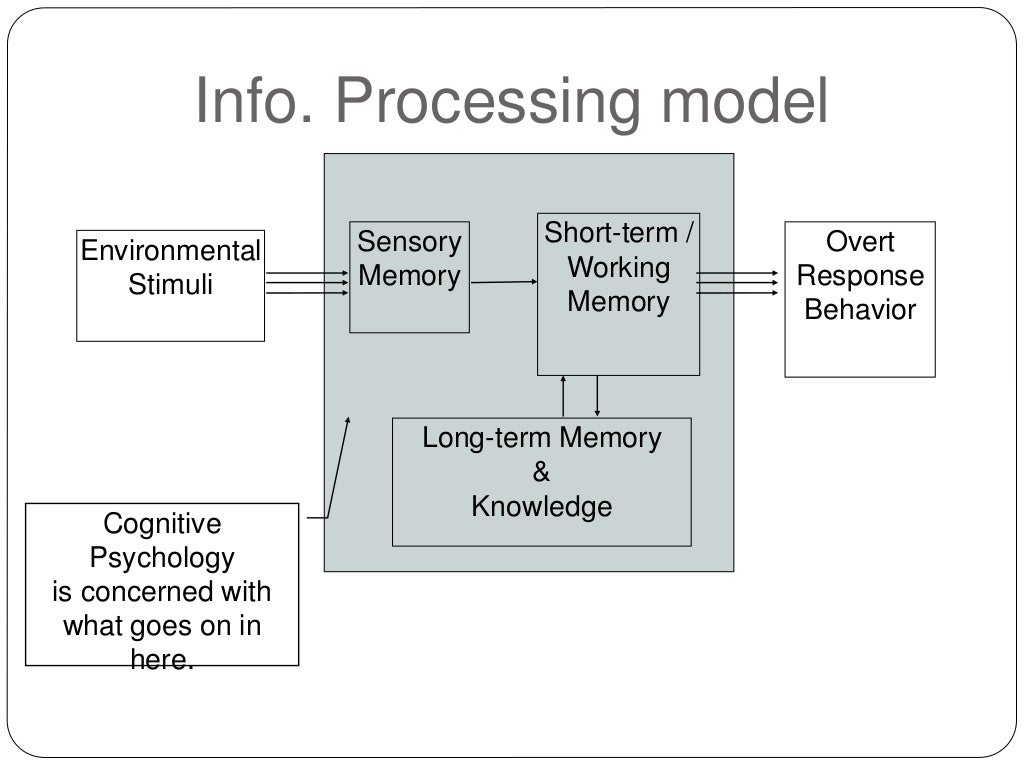 Cognitive Psychology and Information processing in Computers