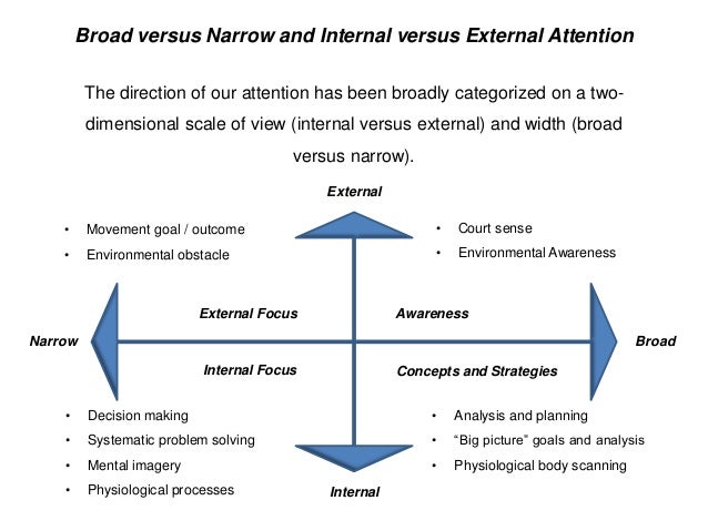 Information Processing and Motor Skill Performance