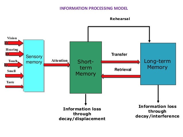 Information Processing Approach in learning