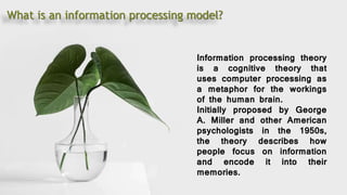 Information Processing and Cognitive Theories of Learning | PPTX | Brain and Nervous System ...