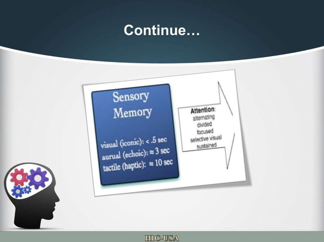 Information processing model or memory model | PPTX | Data Storage and ...