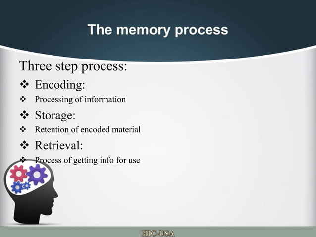 Information processing model or memory model | PPTX | Data Storage and ...