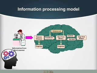 Information processing model or memory model | PPTX