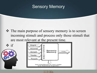 Information processing model or memory model | PPTX