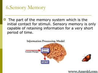 Information processing models | PPT