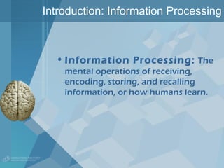 Information processing prez | PPT