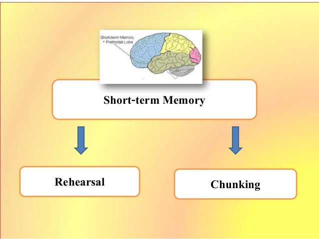 Information Processing Theory