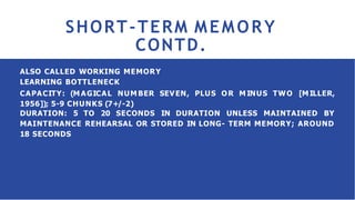 Information Processing Theory.pptx