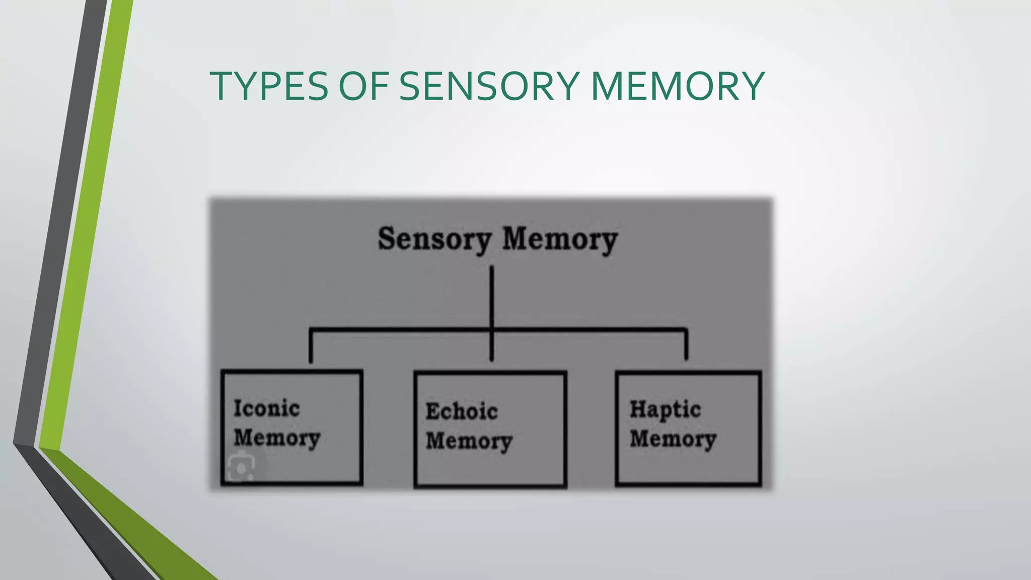 Information processing theory. PPT2.pptx | Data Storage and Warehousing | Computing