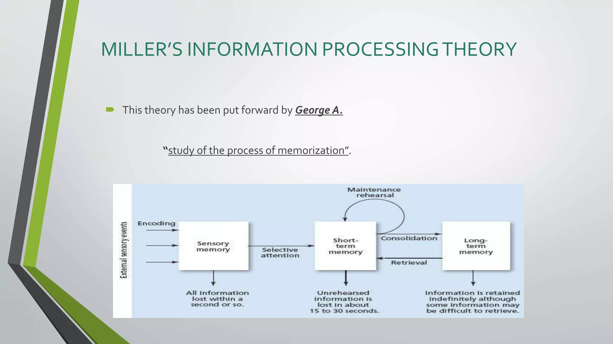 Information processing theory. PPT2.pptx