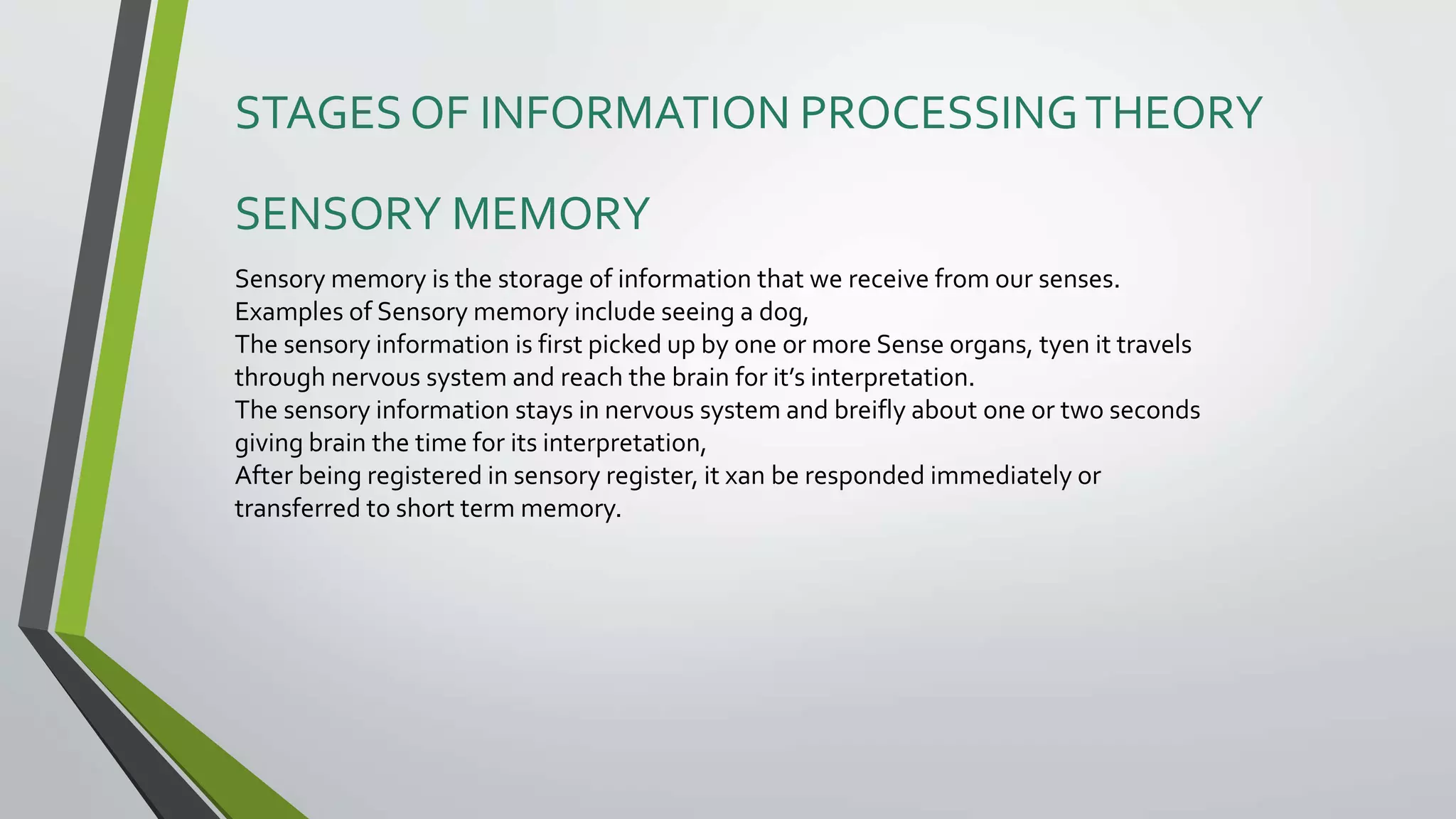 Information processing theory. PPT2.pptx | Data Storage and Warehousing | Computing